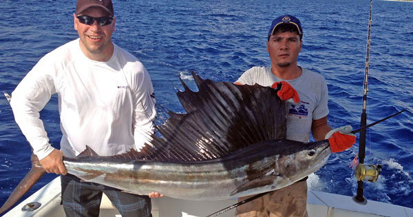 Find Useful Links to Have More Fun in Riviera Maya